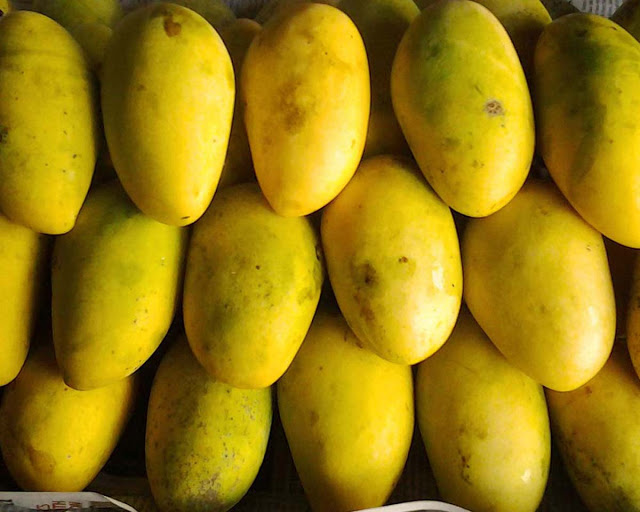 The golden fruit of the Philippines: Manila Mango – The Mixed Culture